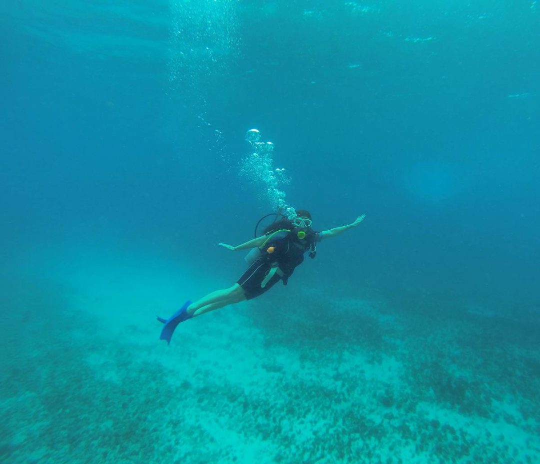 Diving MUSA Cancun: The Underwater Museum in Mexico That Needs to Be on ...