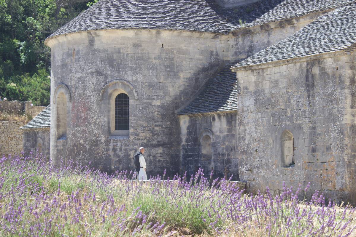 Sénanque Abbey Gardens – Invitation to the Garden