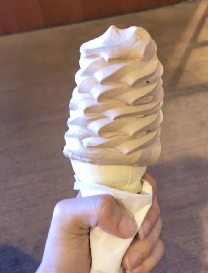 Pink Jeep Tours Review: Day Trip From Vegas to the Grand Canyon and ...