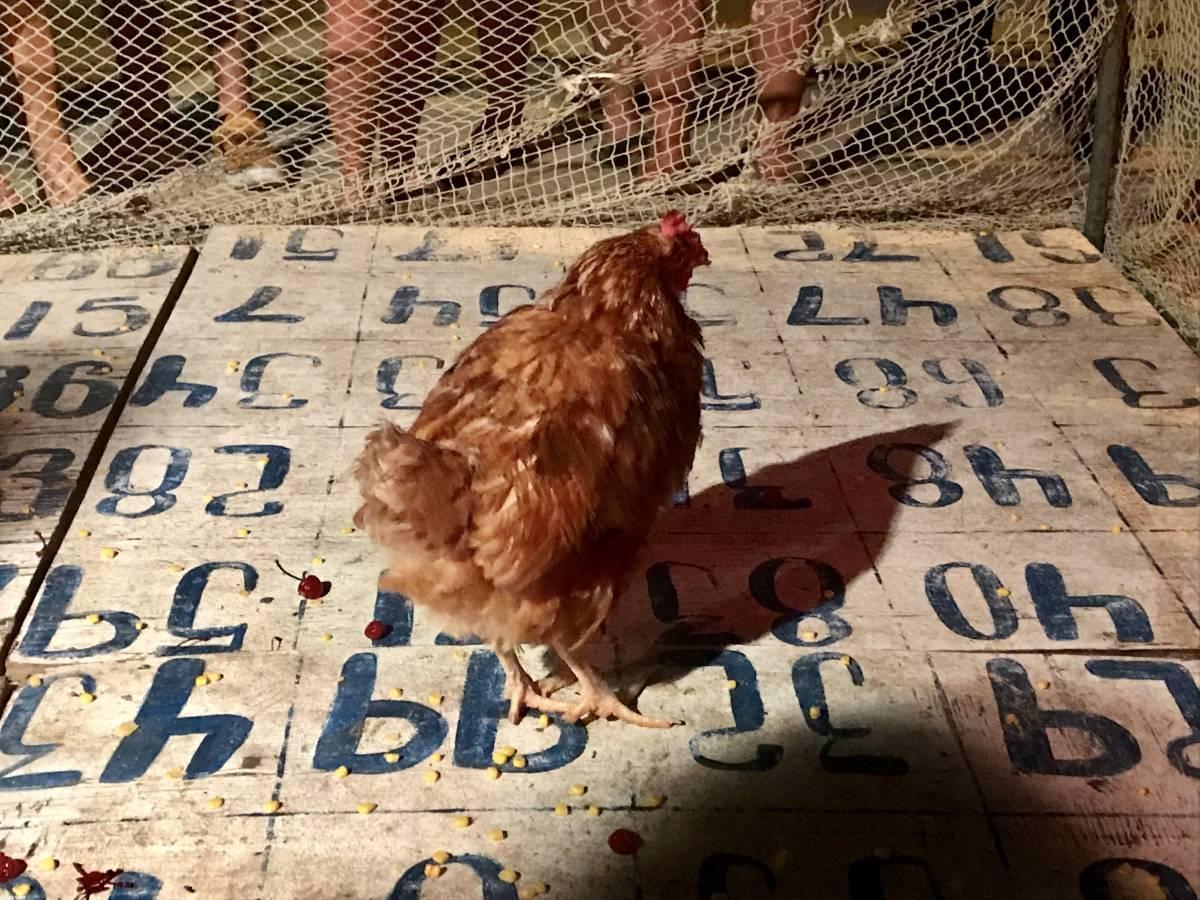 Unbelizeable! 7 Best Things to do in San Pedro, Belize