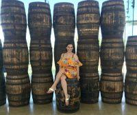 Visiting Casa Bacardí: A Review of the Bacardi Factory in Puerto Rico