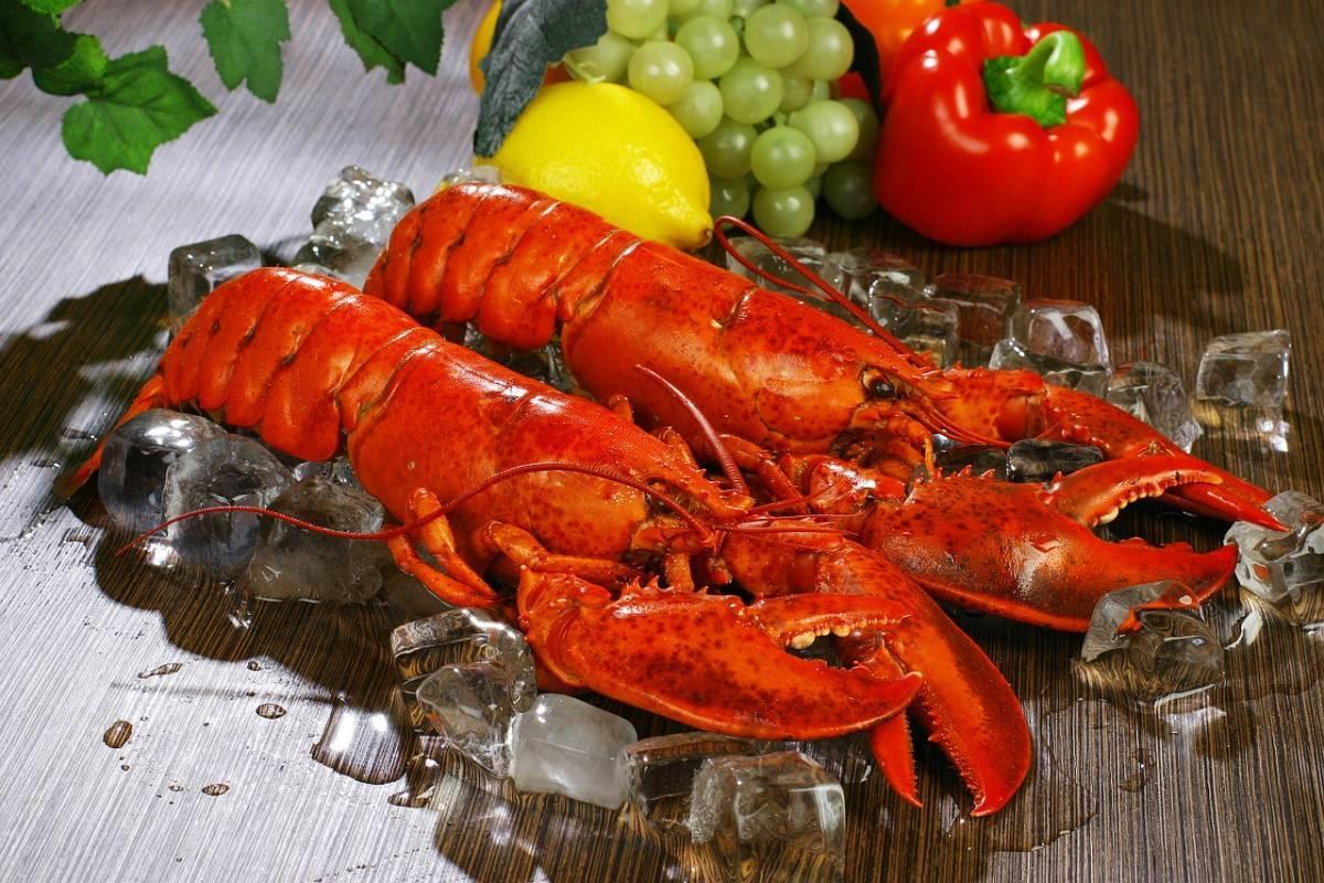 Travel Bloggers Weigh In: Where to Find the Best Lobster in Portland, Maine