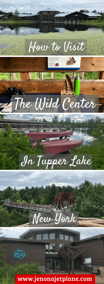 How to Plan The Perfect Visit to the Wild Center in Tupper Lake, NY