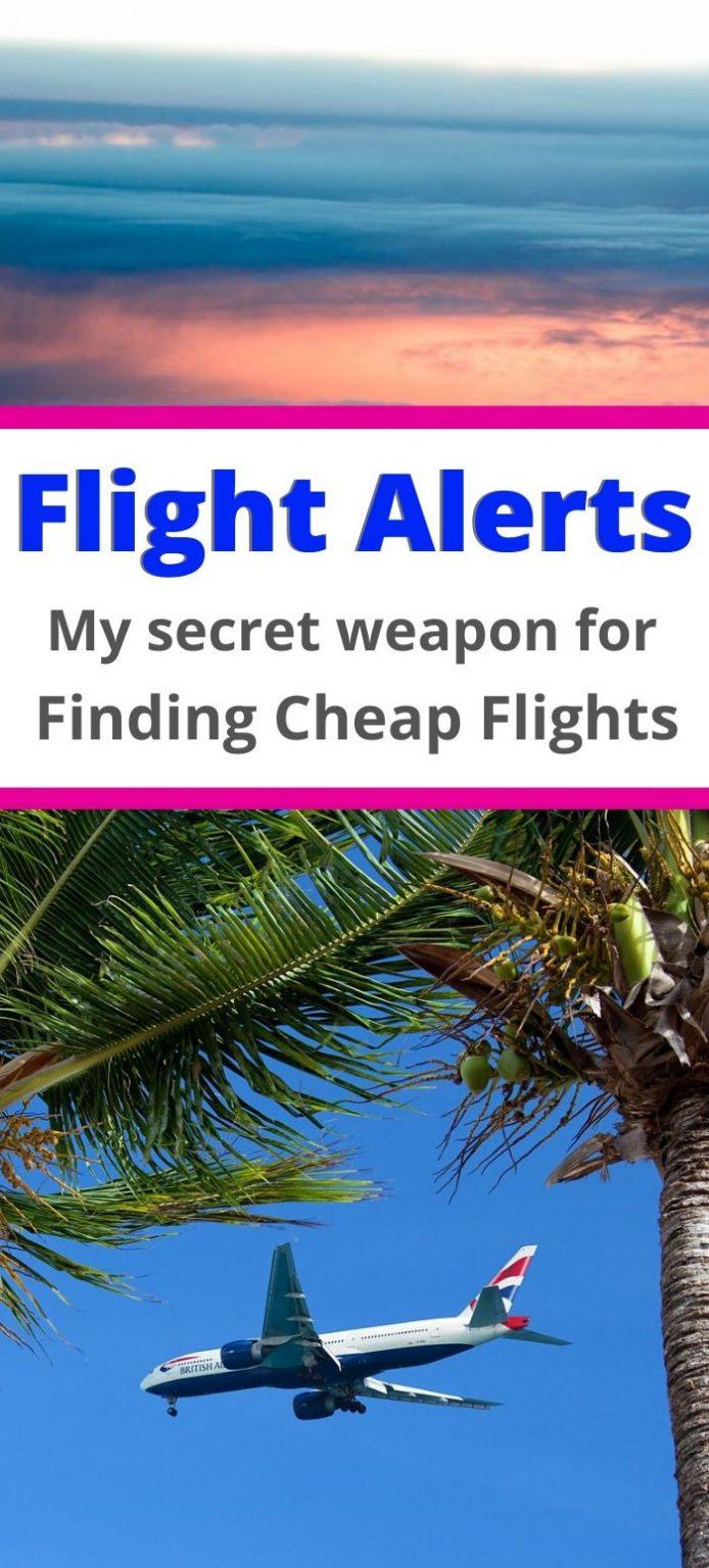 Flight Alerts 101: How to Save Hundreds on Airfare and Easily Find ...