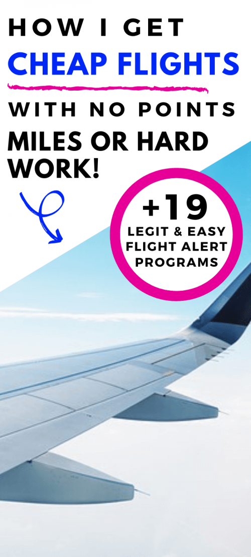 Flight Alerts 101: How to Save Hundreds on Airfare and Easily Find ...