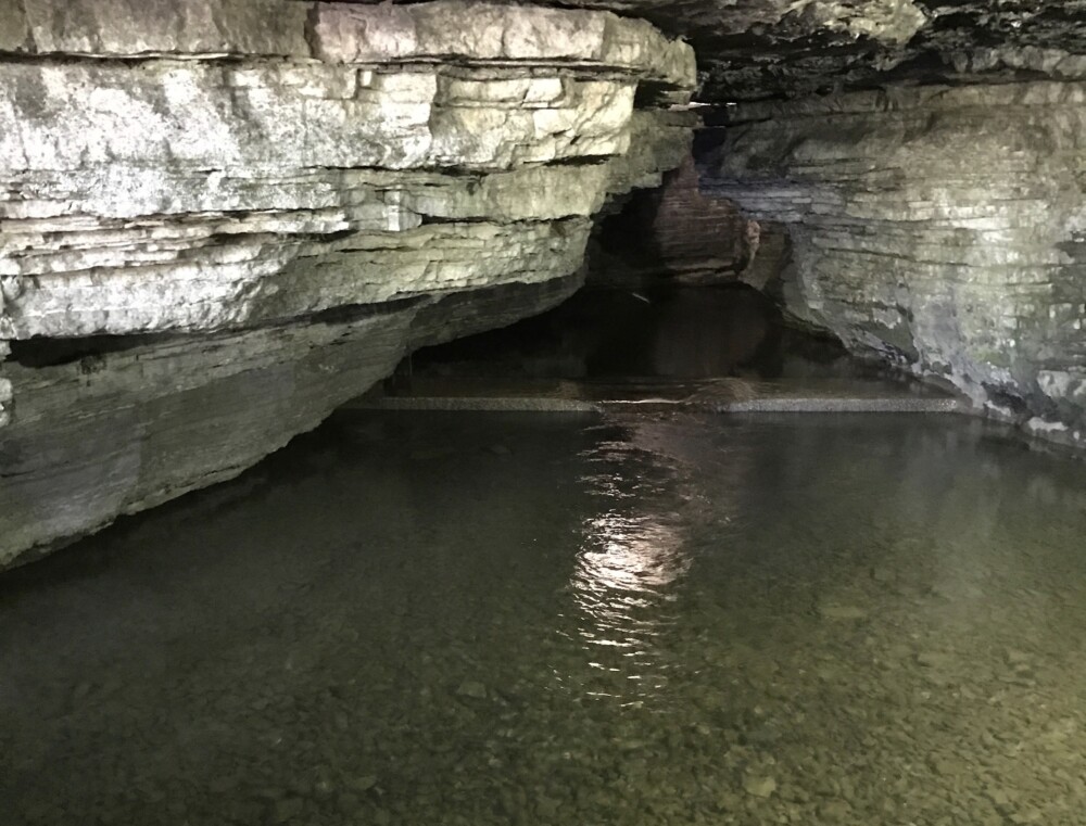 Jack Daniel’s Distillery Tour in Tennessee: What To Know Before You Go