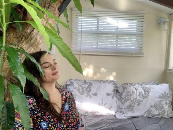A Review of El Yunque View Treehouse, A Tiny House in Puerto Rico