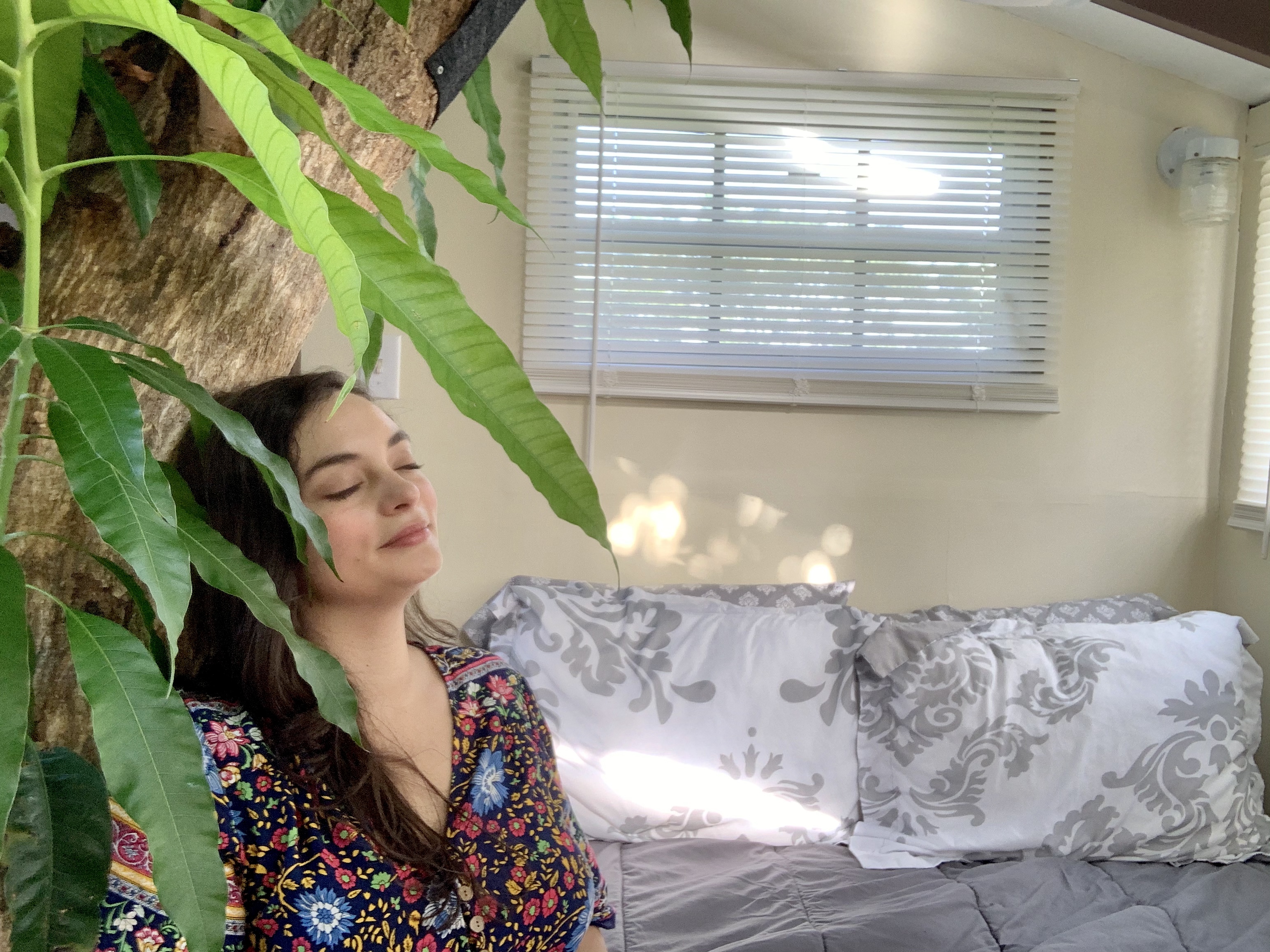 A Review of El Yunque View Treehouse, A Tiny House in Puerto Rico