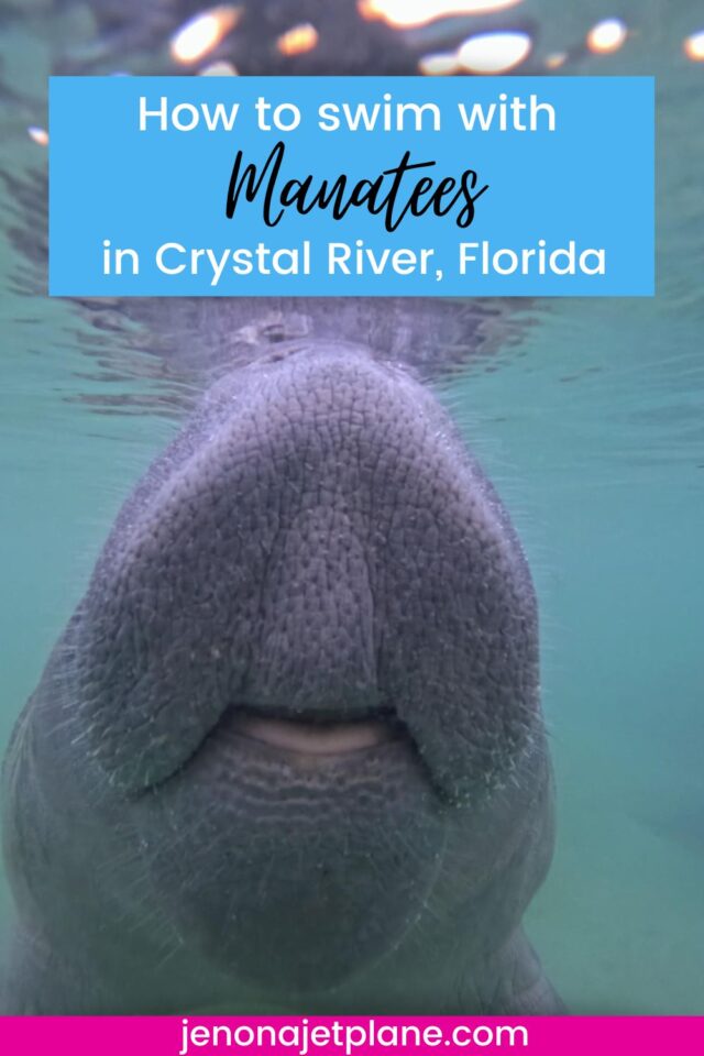 How to Swim with Manatees in Crystal River, Florida: A Moon Guides ...